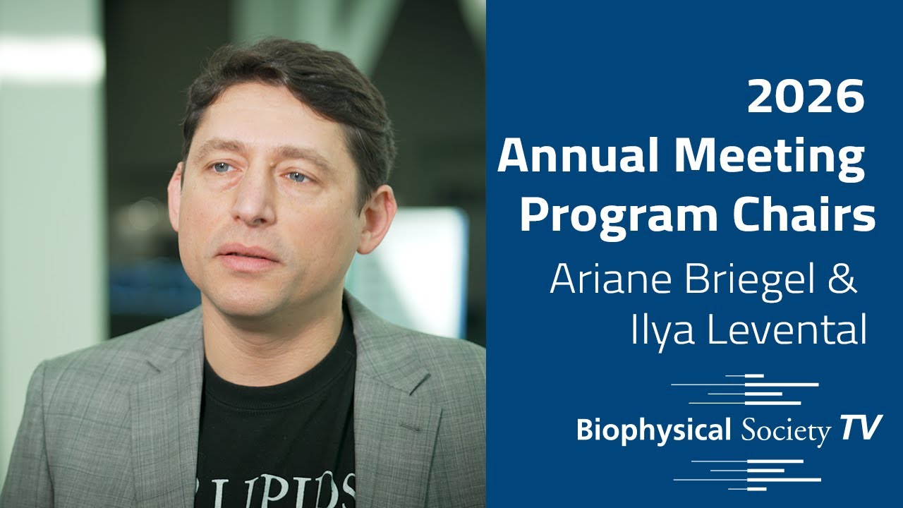 Looking Ahead! 2026 Program Co-Chairs