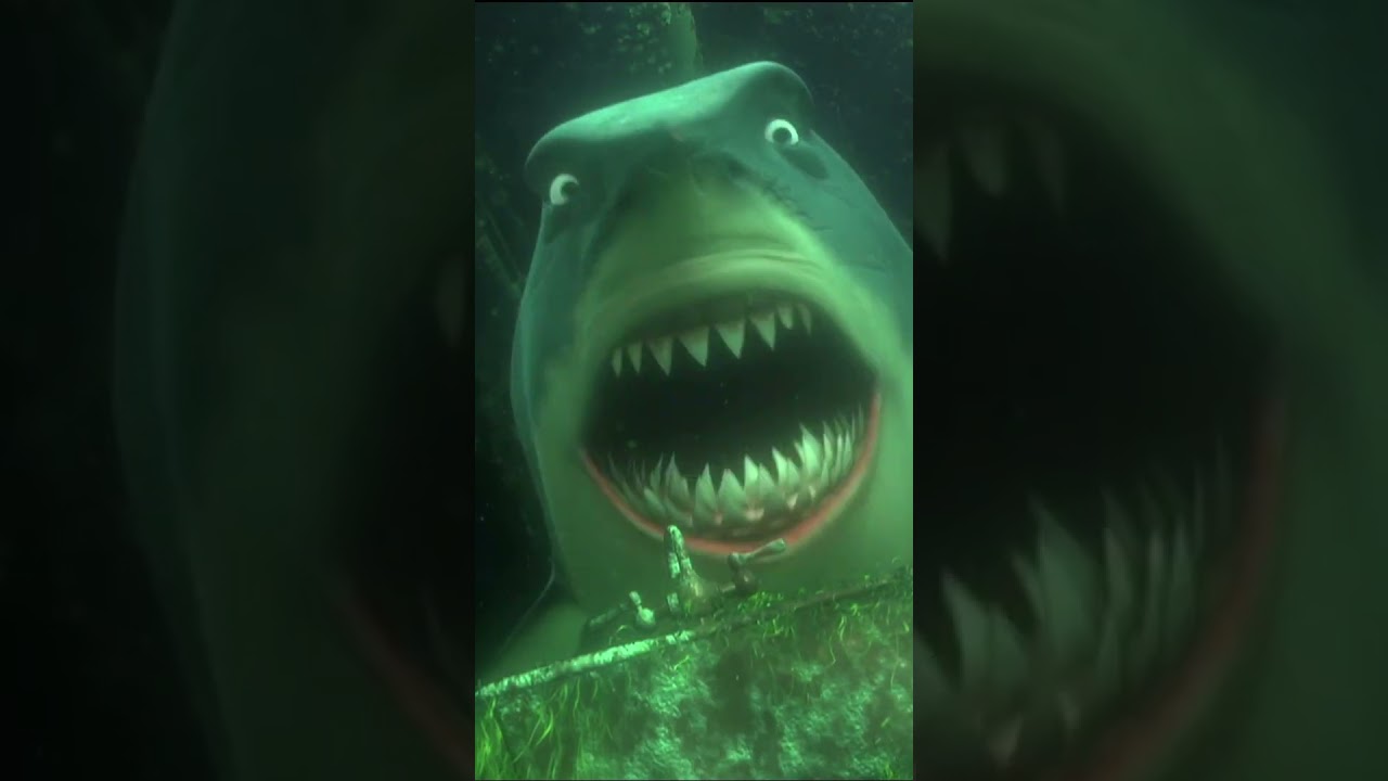 🦈 Meet Bruce | Finding Nemo | Disney Kids