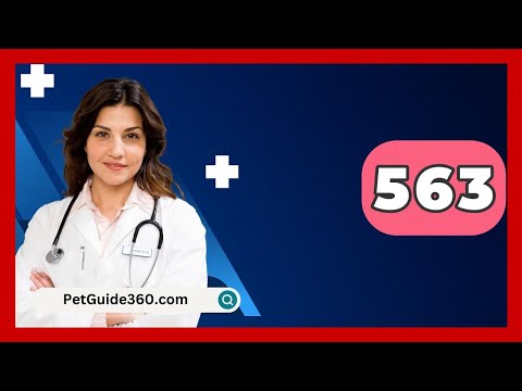 563 - PetGuide360.com
