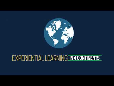 The Notre Dame Global EMBA
