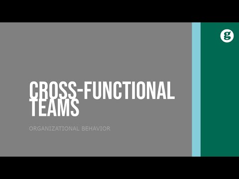 Cross-Functional Teams