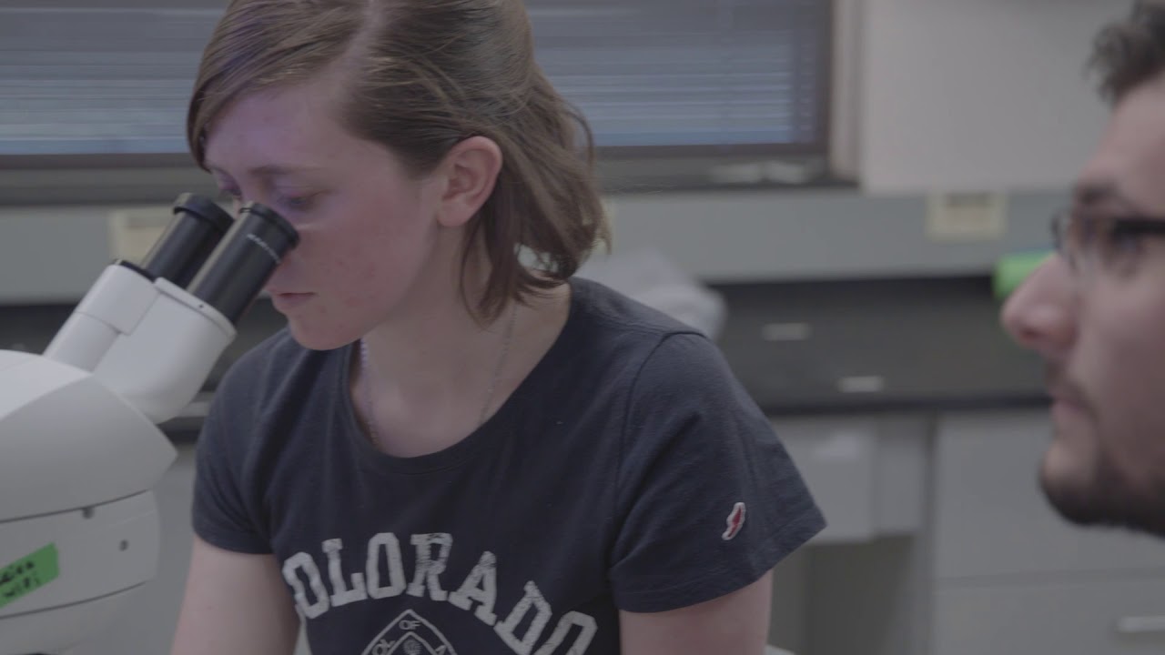 Choosing your Major at Mines: Chemical and Biological Engineering