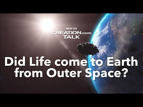 Did Life Come to Earth From Outer Space?