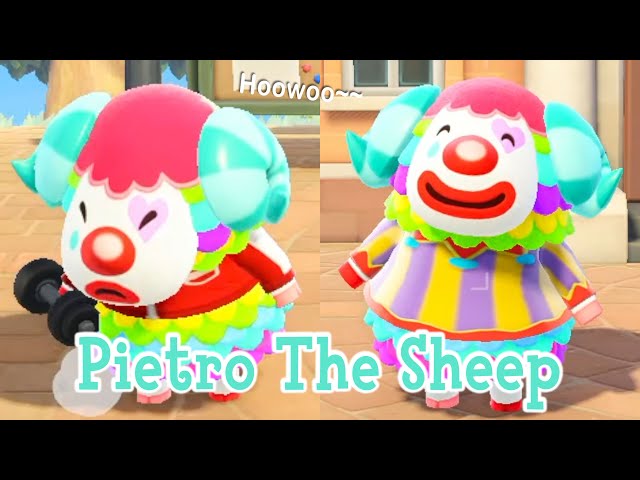 Pietro in Animal Crossing: How to Get, Appearance, Roles