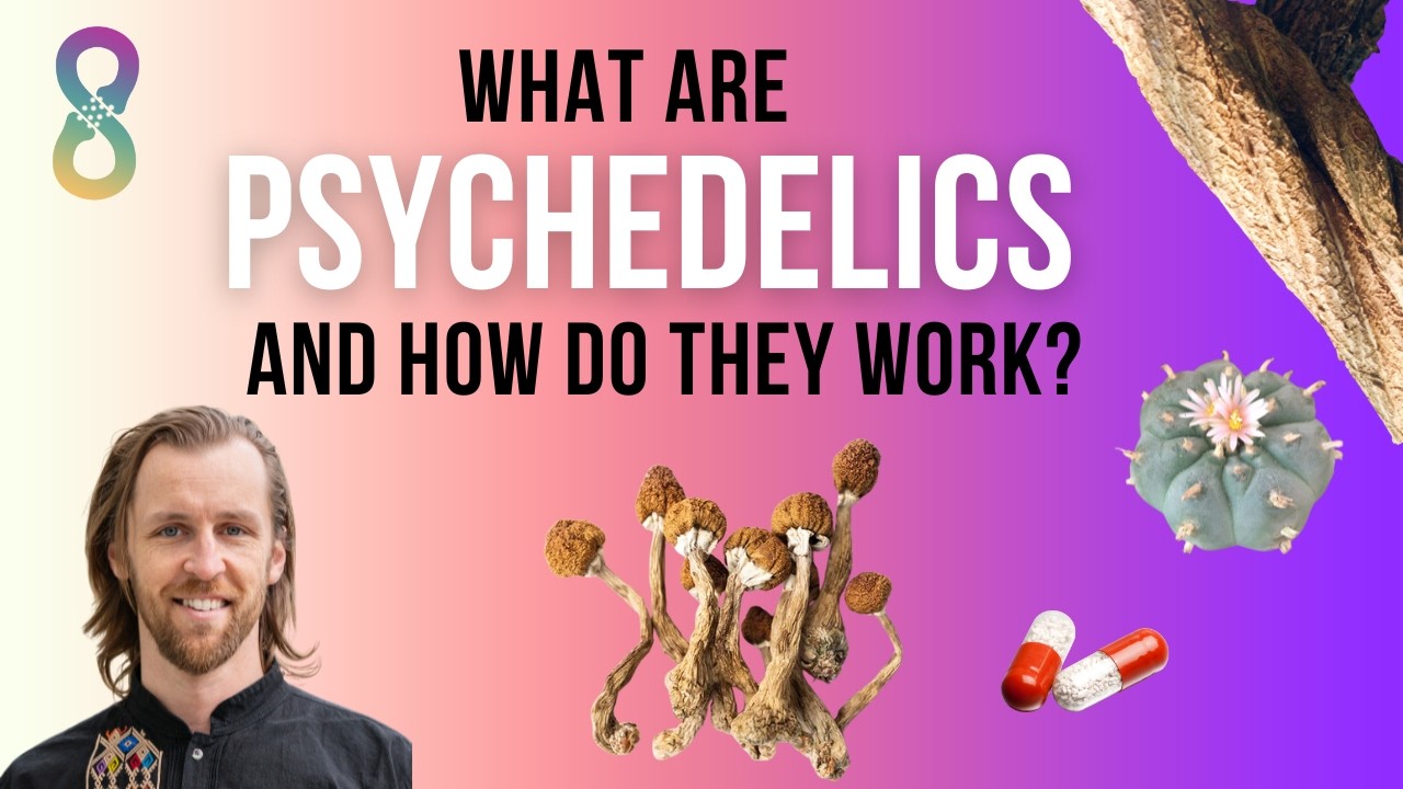 Psychedelics 101: An overview of hallucinogens and how they are used in therapy today