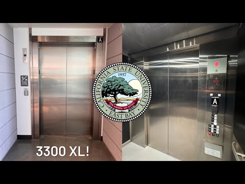 COOL Schindler 3300XL Traction Elevator - The CORE Library - CSUEB in Hayward, CA.