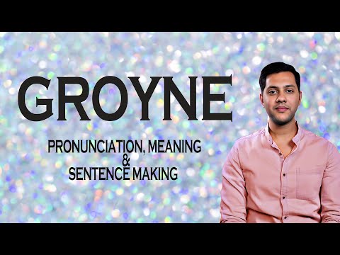 Groyne - Meaning & Pronunciation Word World Audio Video Dictionary