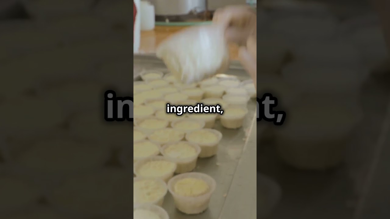 Why Parmesan Cheese Isn't Vegetarian! 🧀 #facts #vegan #vegetarian