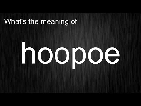 "hoopoe" - The Must-Know Pronunciation and Usage Guide
