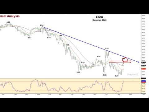 December Corn Chart 8-18-20 | Heartland Farm Partners