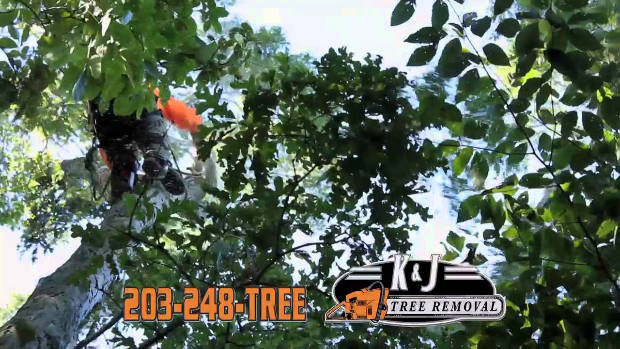 K&J Tree Removal HD