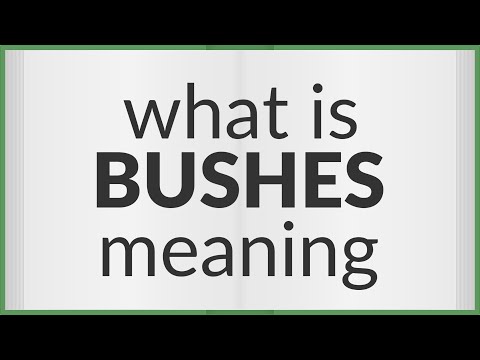 Bushes | meaning of Bushes