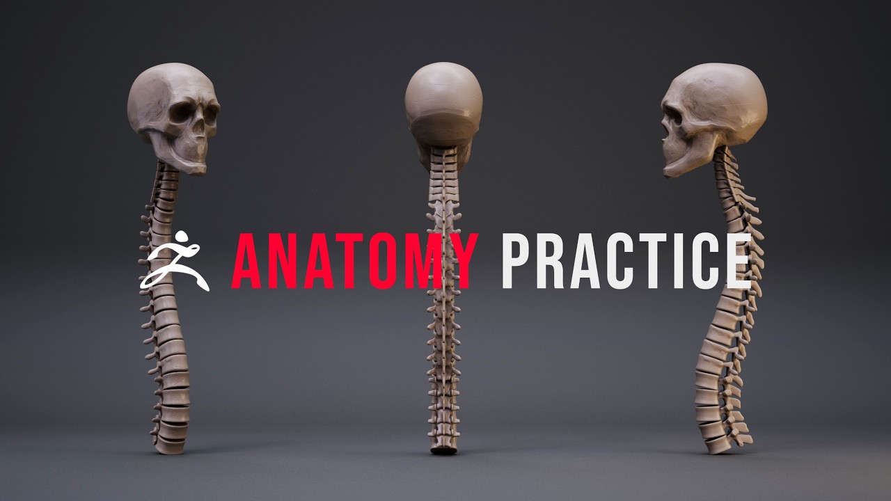 Ryan Kingslien's Anatomy Course. Sculpting the Spine