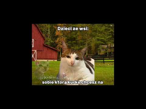 zwykłe dzieci Vs dzieci ze wsi ???? #cats #śmieszne#greenscreen #cat #trend#memes#funny#memy #catmeme