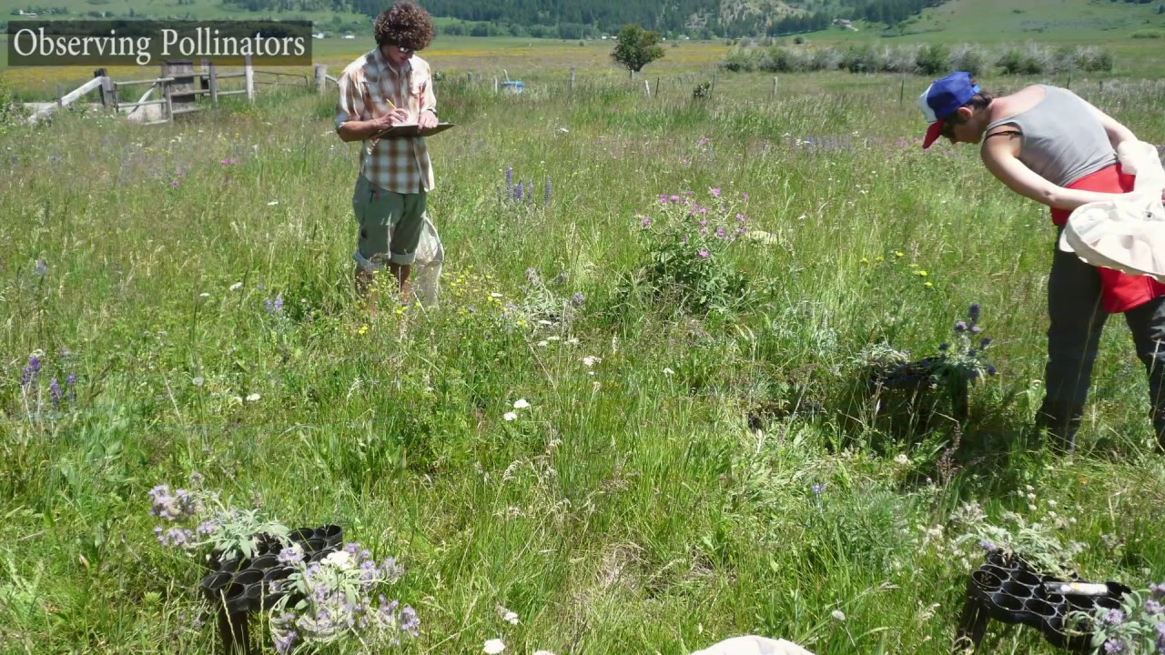 Meet Research Entomologist Justin Runyon