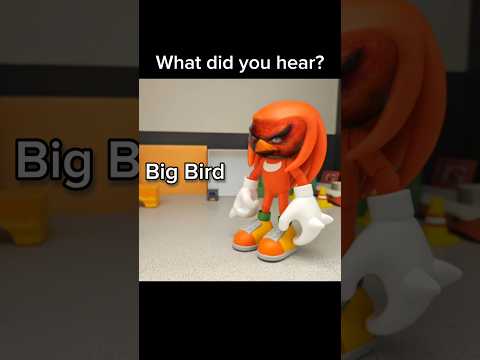 What did you hear? Big bird ✔️ sesame✅️ #tails #memes #funny