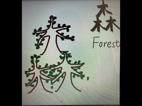 [ Learn Chinese ]  木 Episode 1:  wood, forest, tree  (木 林 森树 )