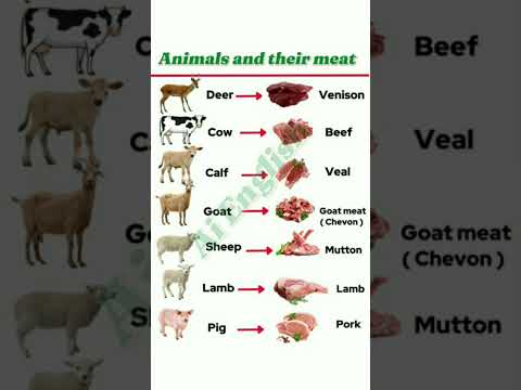 animals and their meats names in english।। english word meaning।।#englishvocabulary #shorts