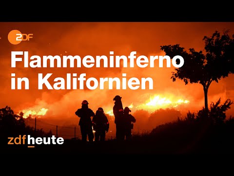 Apocalypse Now: Waldbrände Vorboten des Klimawandels?