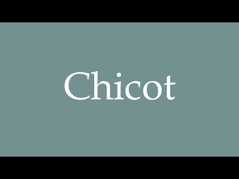 How to Pronounce ''Chicot'' Correctly in French