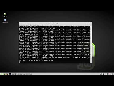 How to update and upgrade packages on linux mint