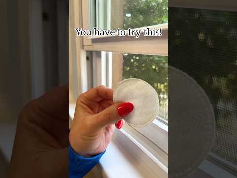DIY Pest Control Tips! #pestcontrol #tips #diy #hacks