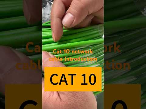 What is Cat 10(Category 10) cable?
