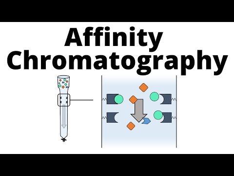 Affinity Chromatography