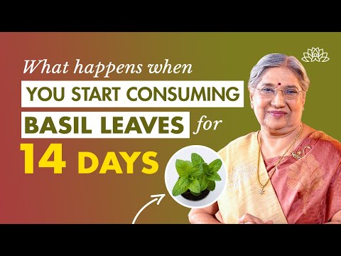 Basil / Tulsi leaves benefits for weight loss, hair growth & skin | Tulsi leaves tea recipe | Stress