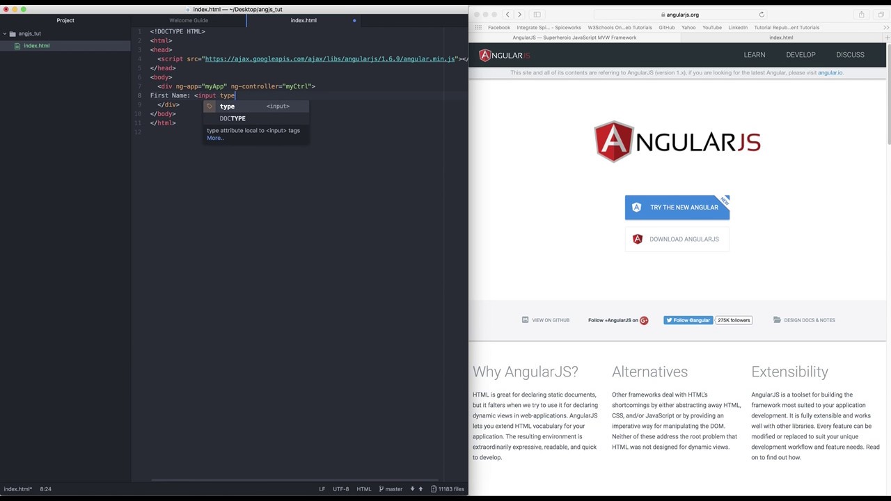 AngularJS tutorial | Web Developing n