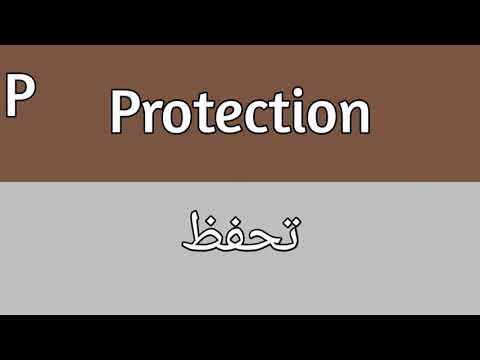 Protection Meaning In Urdu