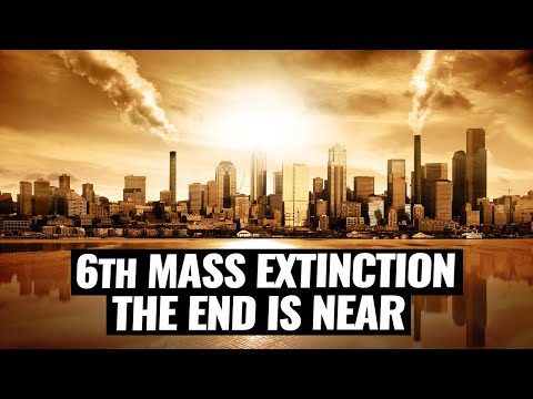 The 6th Mass Extinction Is Happening Now