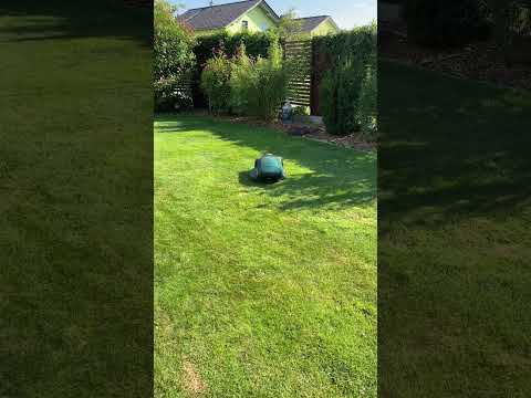 Robomow in action