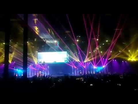 Pal lighting show.