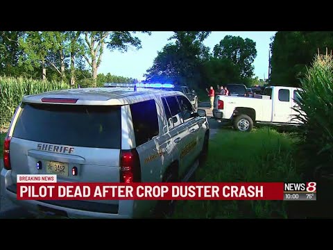 Pilot dead after crop duster crash