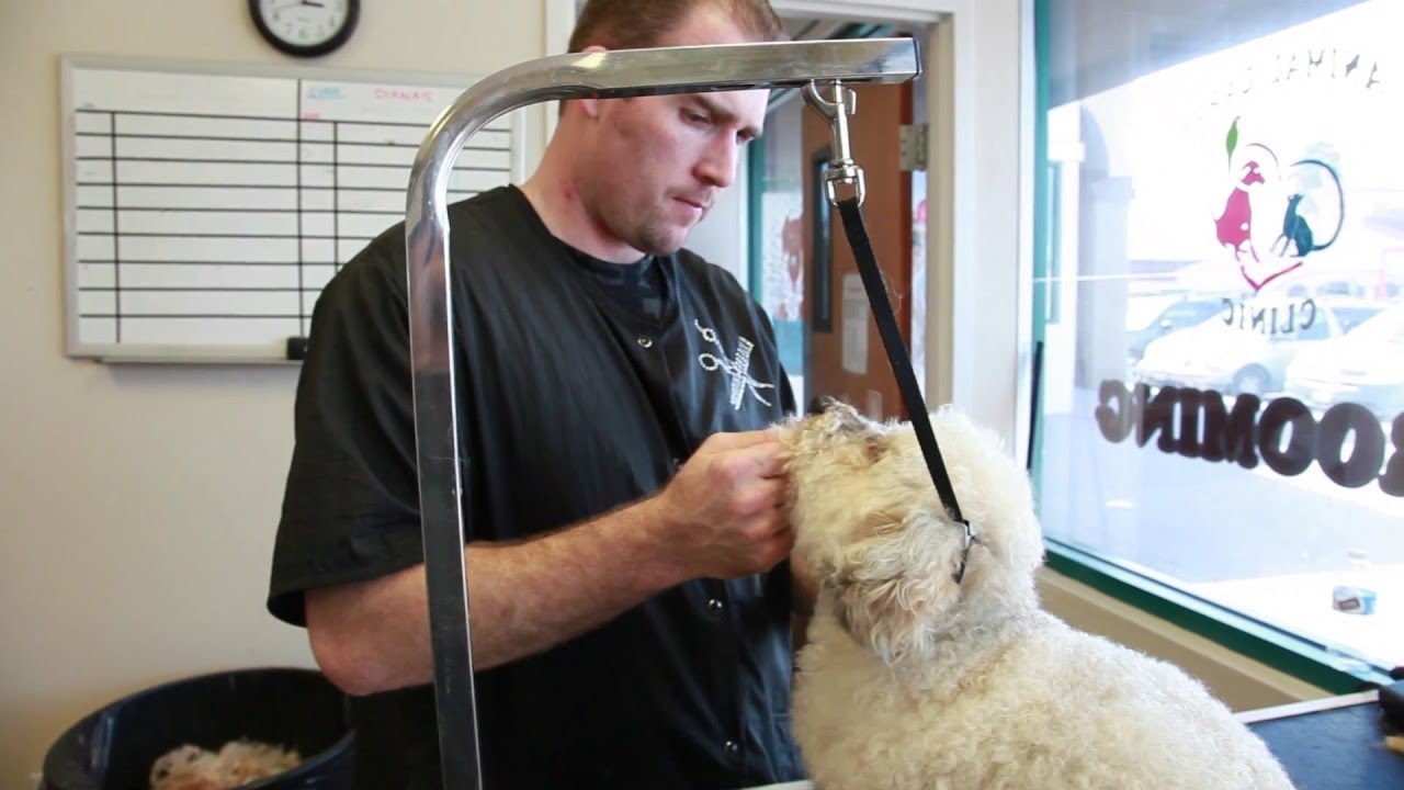 Welcome to Animal Care Clinic