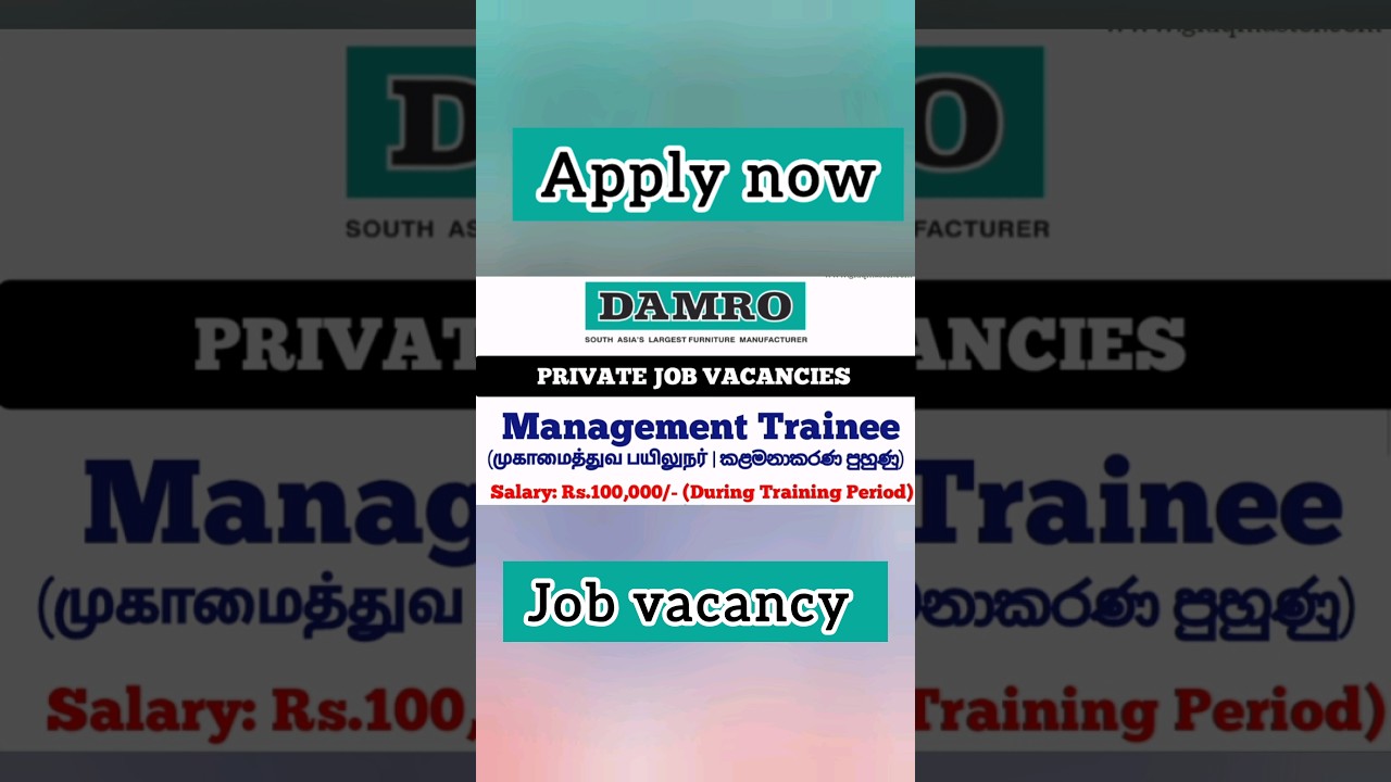 DAMRO - Management Trainee Job Vacancies 2024 #job #jobvacancy #management