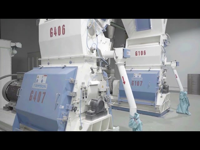 Famsun Group Co., Ltd.