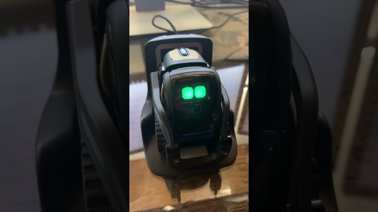 How to get OS Version for your Vector robot