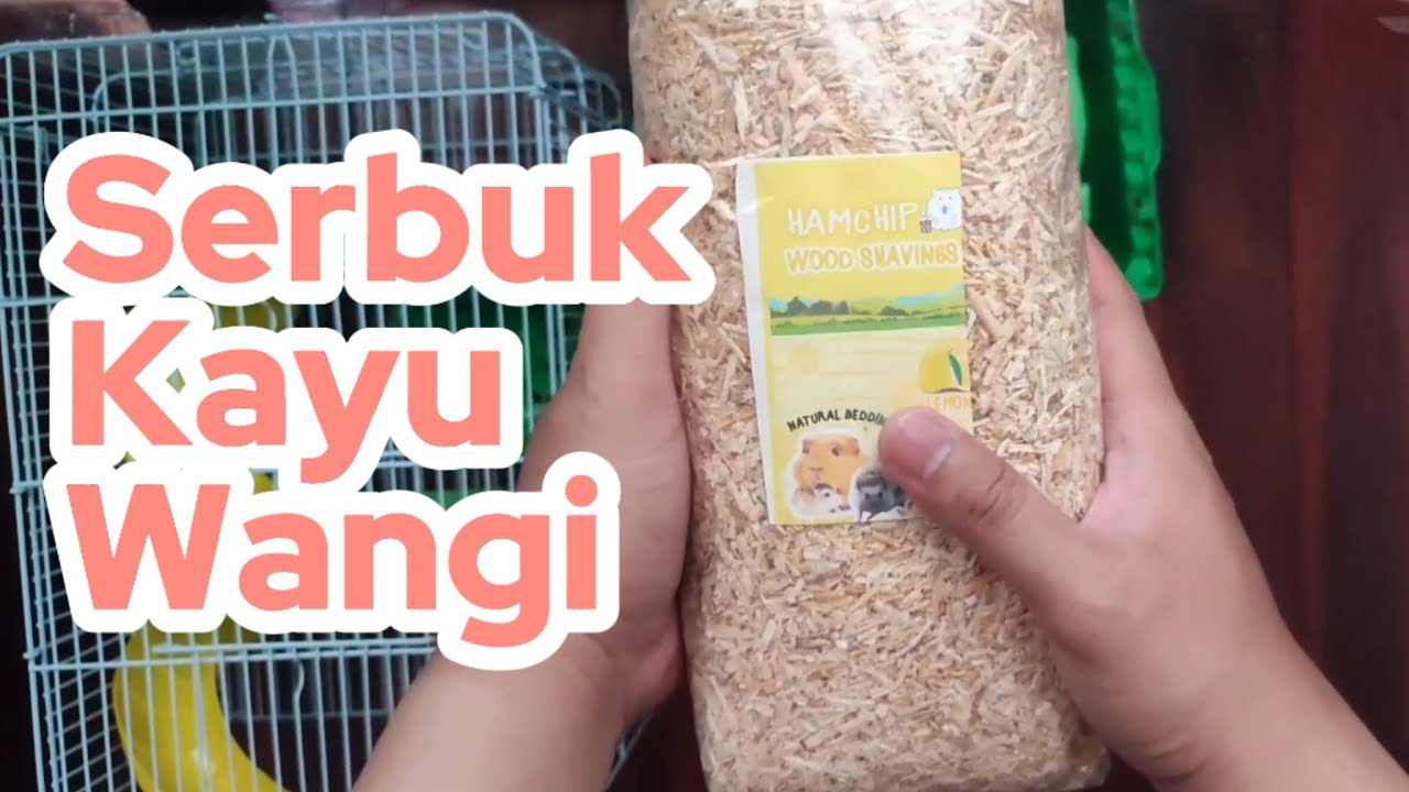 WANGI BANGET! Review Serbuk Kayu Alas Kandang Hamster Terbaik Anti Bau Apek
