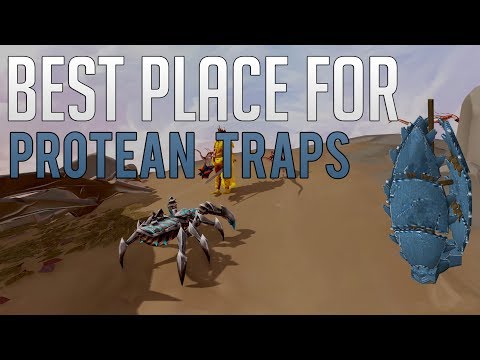 The best place to use Protean Traps in Runescape 3