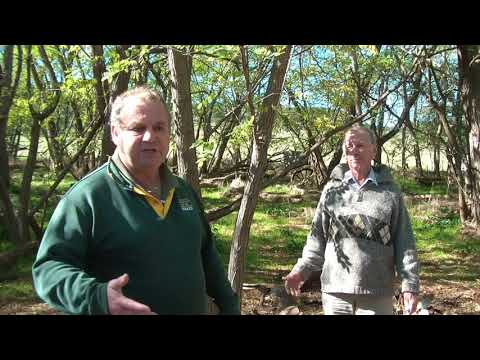 The Evans family 1815 - 1950 chapter 3 & 4
