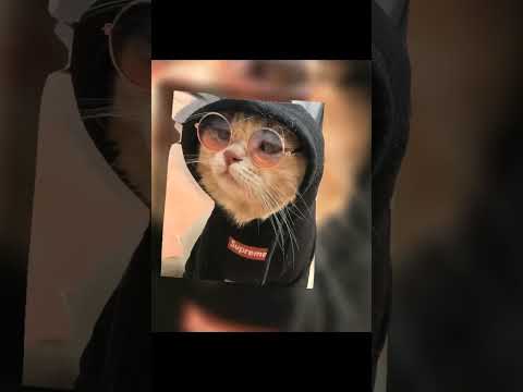 Steam Community :: Video :: gyc