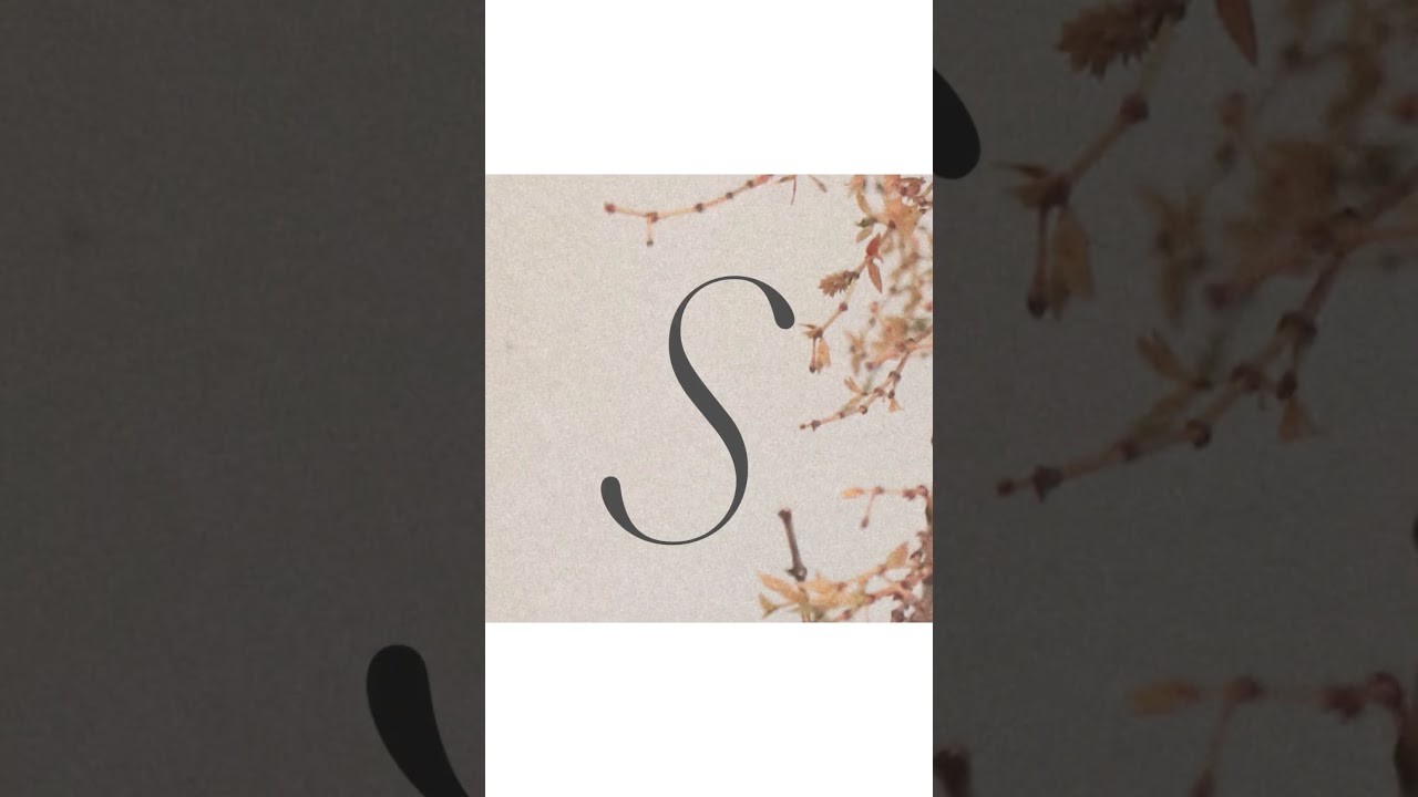 Intro | LePosey Studio for creative services