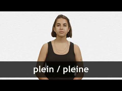 English Translation of “PLEIN” | Collins French-English Dictionary