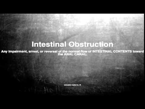 Medical vocabulary: What does Intestinal Obstruction mean