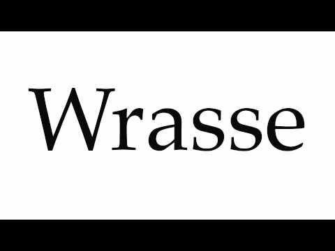 How to Pronounce Wrasse