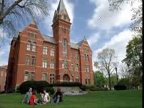 heidelberg university