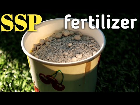 Single Super Phosphate - SSP Fertilizer Latest Price, Manufacturers ...