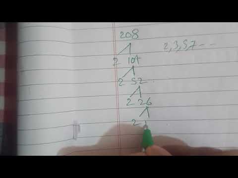 factor tree of 208 |prime factor tree |